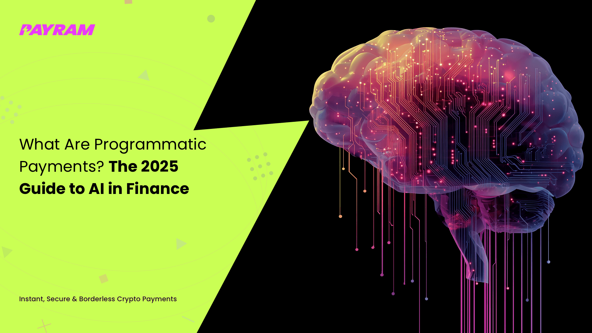What Are Programmatic Payments? The 2025 Guide to AI in Finance | PayRam